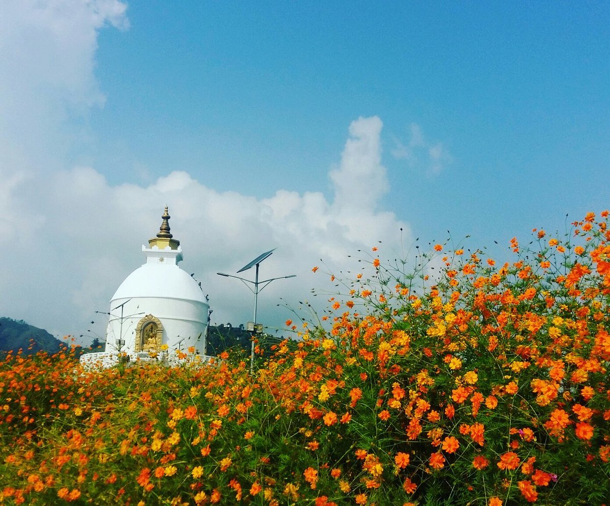 complete responsive tour and travel agency website design tutorial